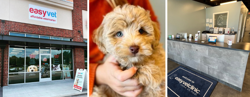 Easyvet - M&P Shopping Centers