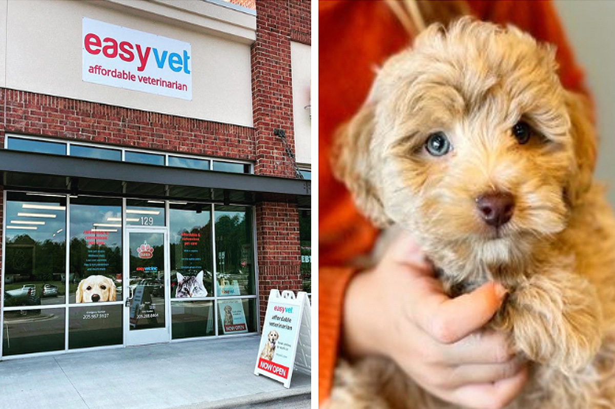 Easyvet - M&P Shopping Centers